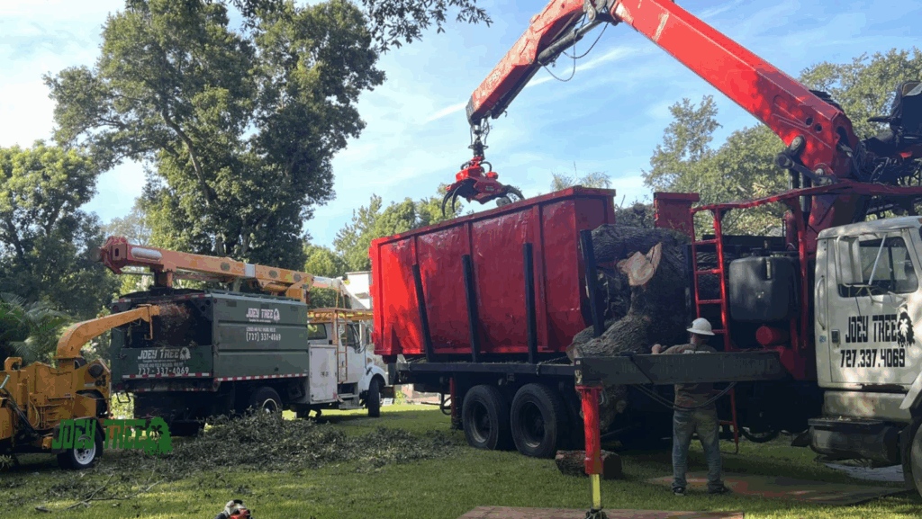 Tree Trimming & Removal in Bowling Green, OH | Joey Tree